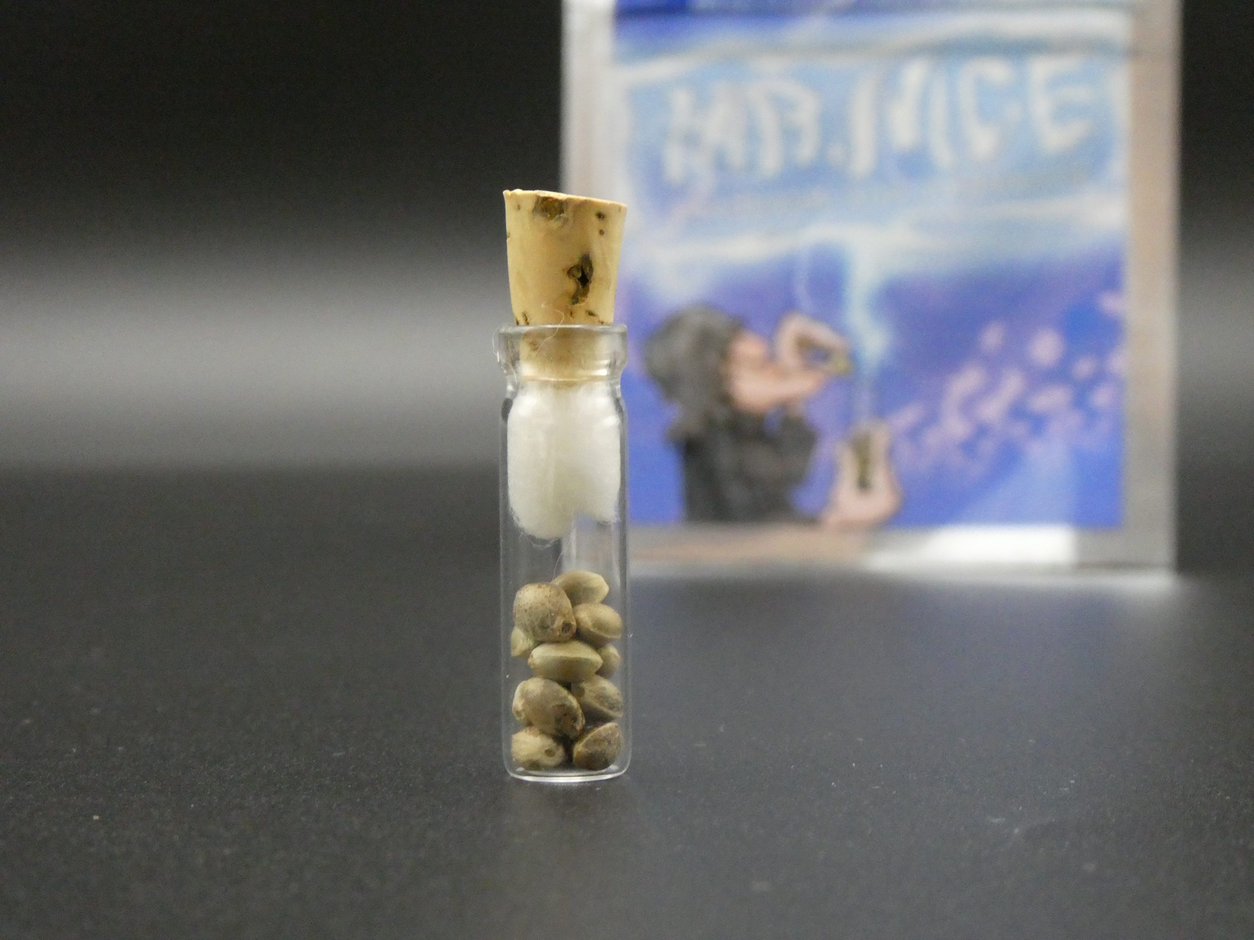 White Cookies TopFlite Fem - Mr. Nice Seedbank